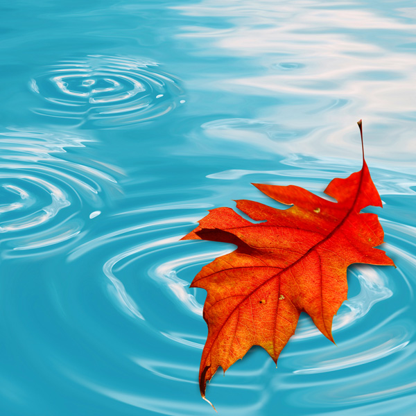 Fall is a Great Time of Year to Enjoy Your Swimming Pool - Gohlke Pools